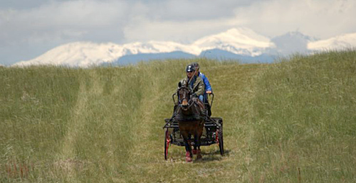 Mark Bellissimo Leads Group Buying Colorado Horse Park, Joining ...