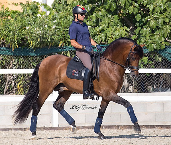 Beatriz & Delgado Win Spanish Championships Special, Severo & Lorenzo ...