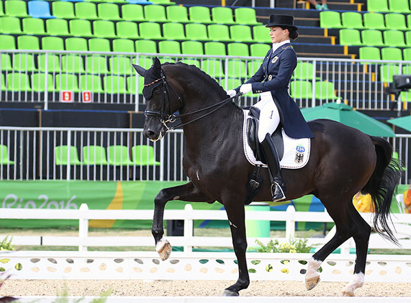 Germany Leads Olympic Dressage After Grand Prix, Great Britain 2nd, USA ...